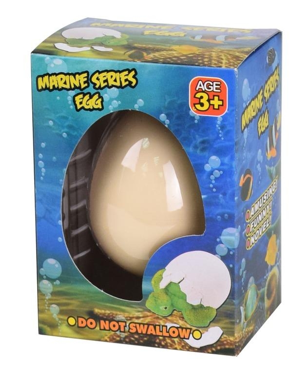 HATCH SEALIFE GROWING EGG (12 D) - Games & Toys-Toys : Onehunga Books ...