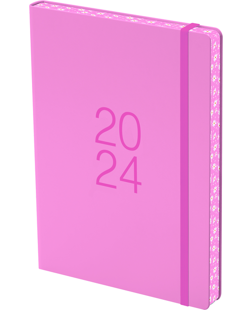DIARY 2024 Collins Diary A51 Day Per Page Colour Edge Pink Even Year ...