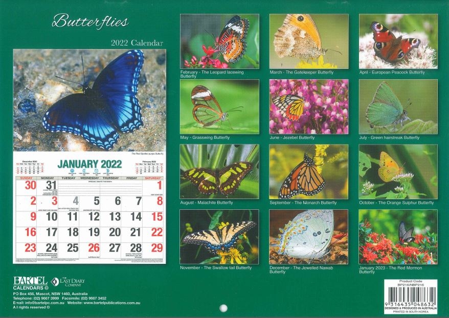 Calendar 2022 Big Print Butterflies - Gifts & Greeting Cards-Calendars ...