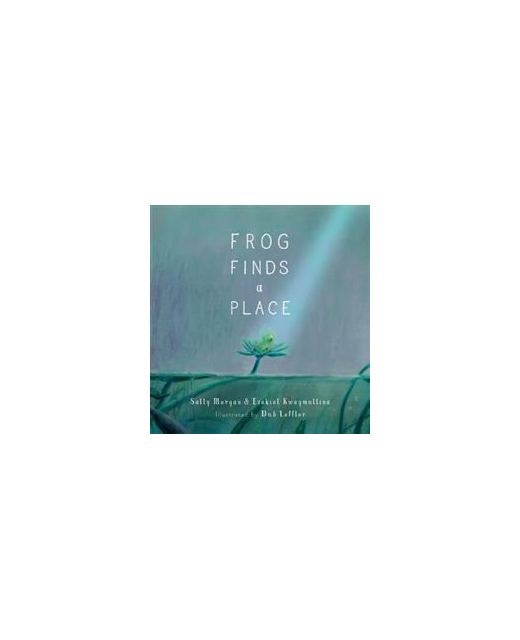 FROG FINDS A PLACE - Children Books-Picture Books : Onehunga Books ...
