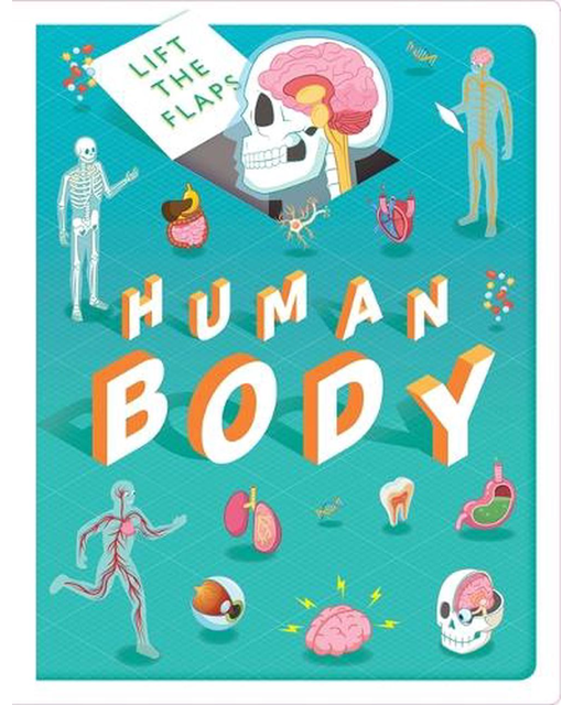 LIF THE FLAP HUMAN BODY - Children Books-Educational : Onehunga Books ...