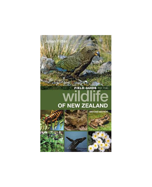 WILDLIFE OF NEW ZEALAND FIELD GUIDE - Books-General : Onehunga Books ...