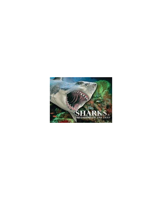 SHARKS AND PREDATORS OF THE DEEP - Children Books-Educational ...