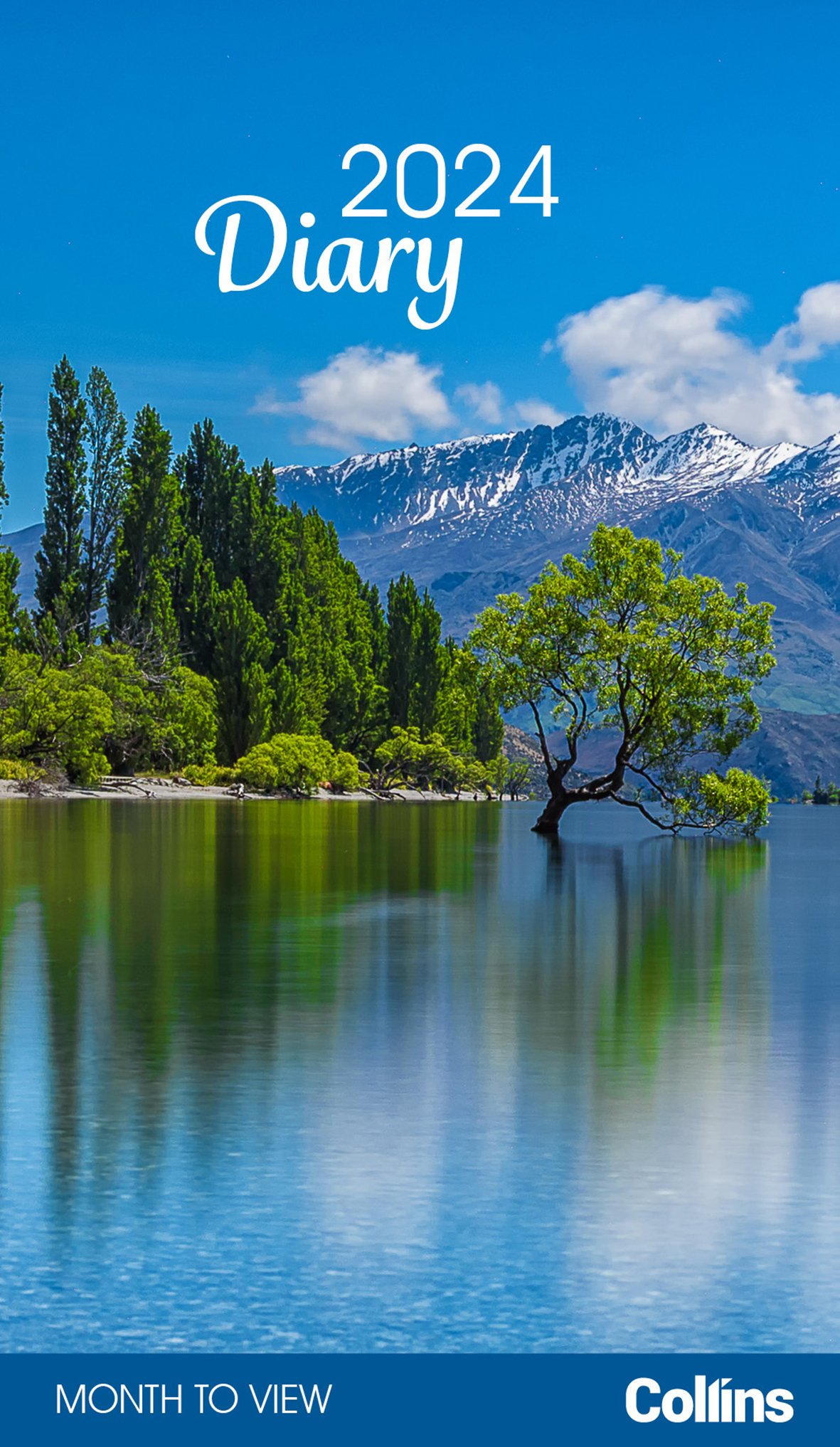 DIARY 2024 Collins Rosebank Diary NZ Landscapes Month to View Even Year ...