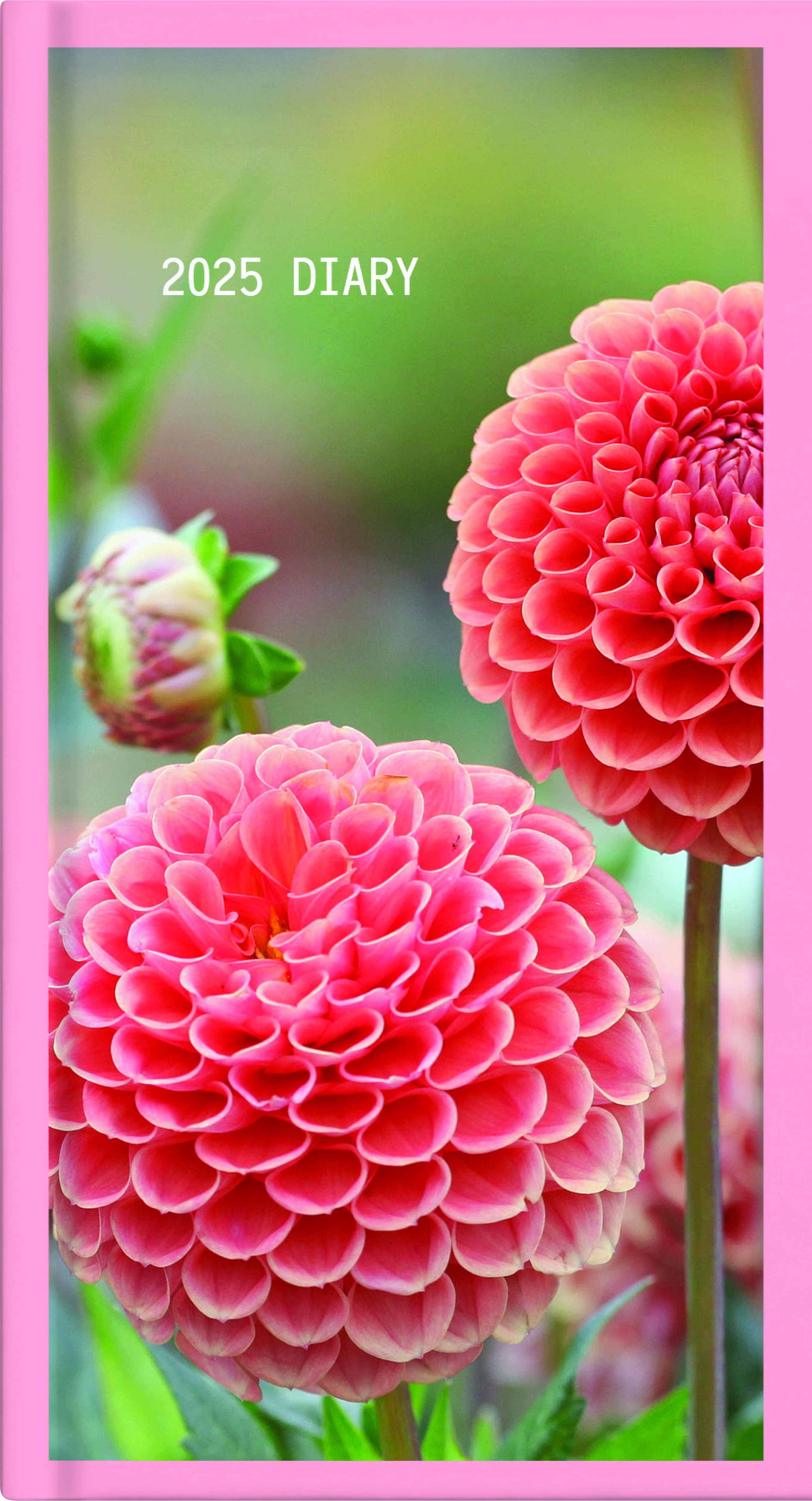 2025 Collins Diary CW7 Notes Floral - Stationery-Diaries : Onehunga ...