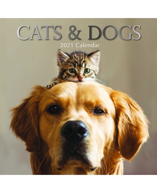 2021 SQUARE CALENDAR CATS & DOGS - Gifts & Greeting Cards-Calendars ...
