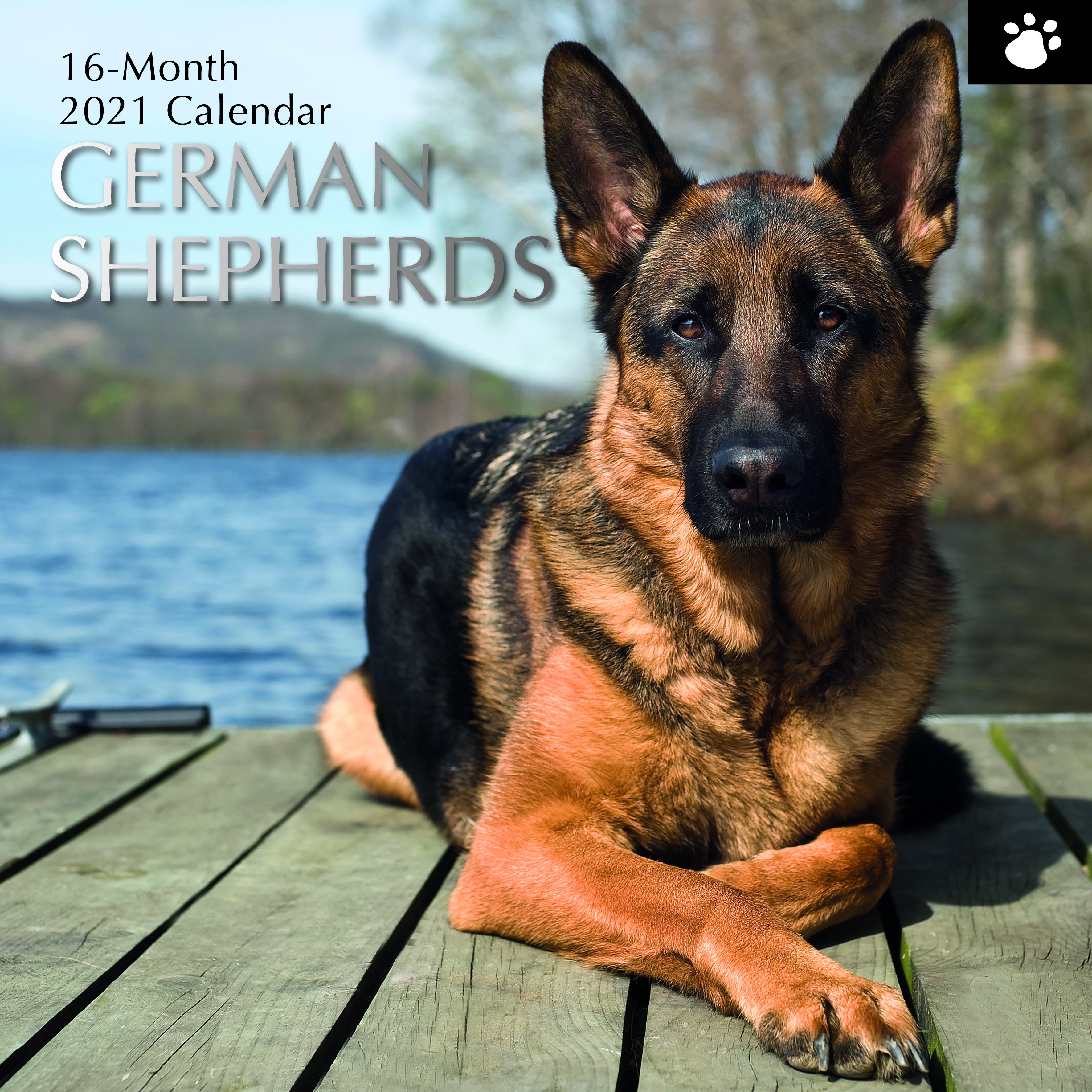 2021 SQUARE CALENDAR GERMAN SHEPHERDS - Gifts & Greeting Cards ...