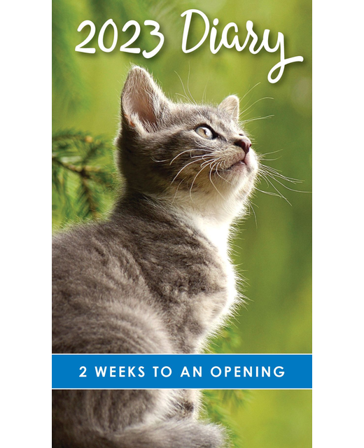 DIARIES 2023 BISCAY 2 Weeks to View Cats & Kittens - Stationery-Diaries ...
